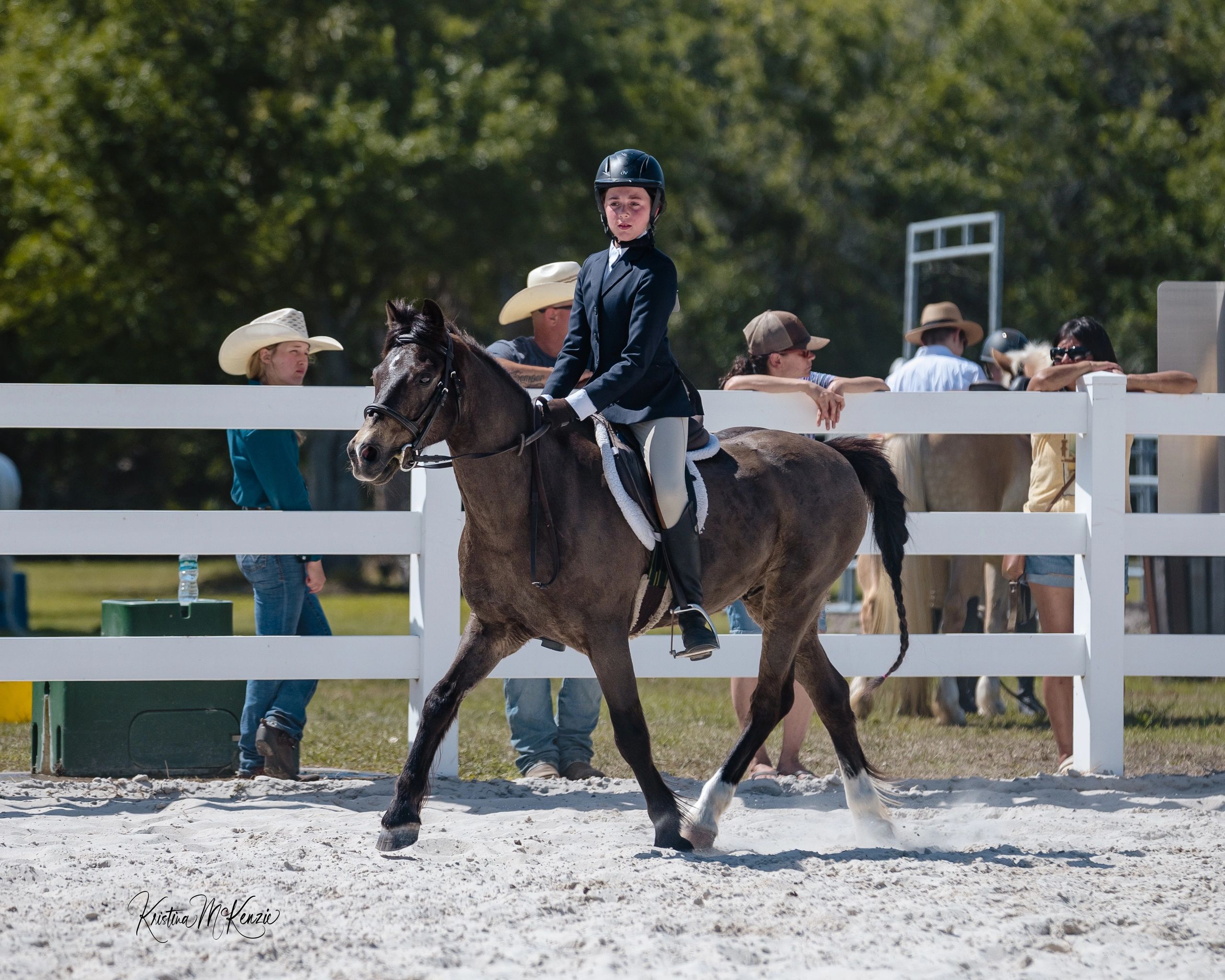 Checklist for Horse Show